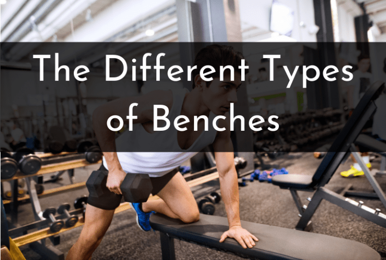 The 6 Types of Weight Benches You'll See In The Gym (Explained)