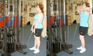 Different Types of Cable Machines at the Gym Explained