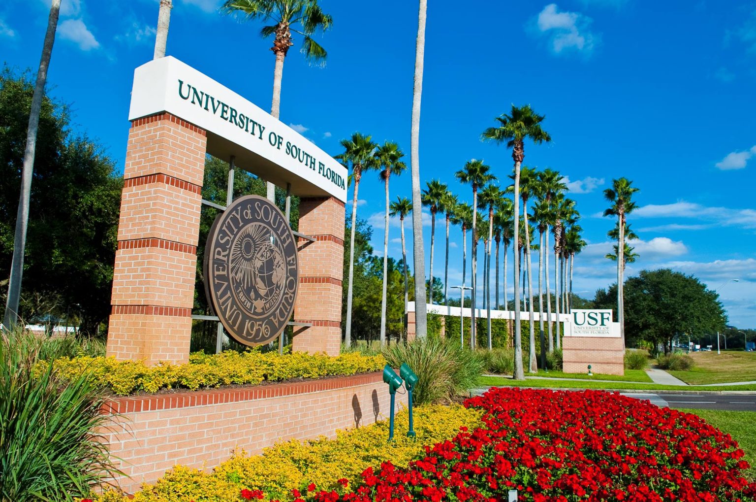 University of South Florida (USF) Gym Explained & Reviews